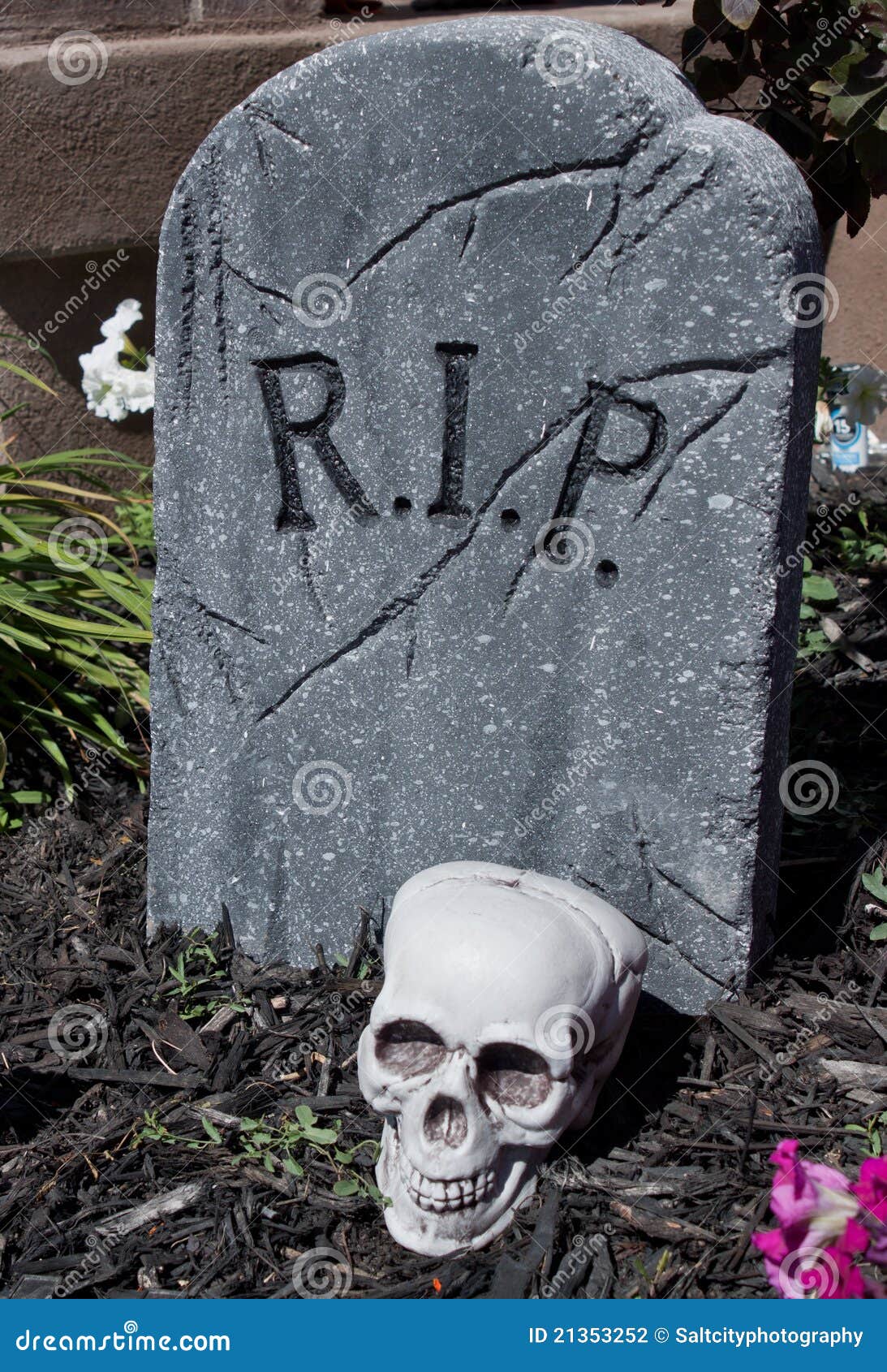 Headstone stock photo. Image of human, head, skeleton - 21353252