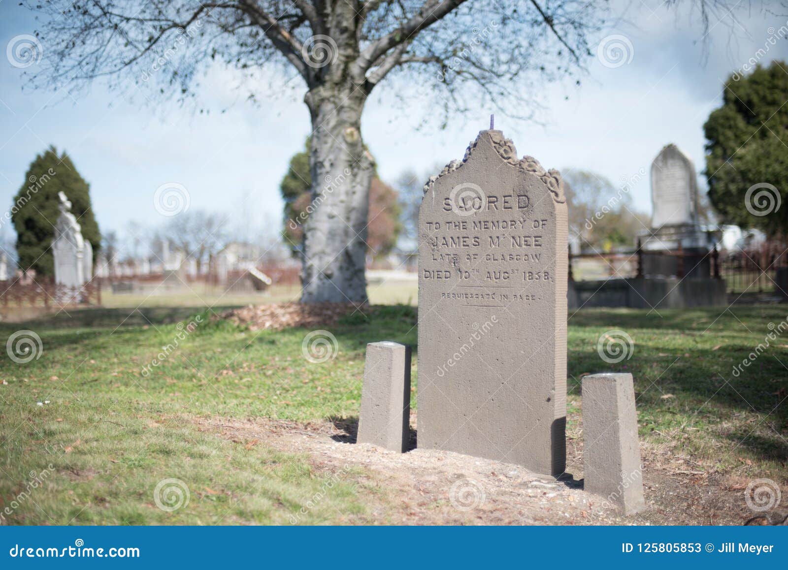 Headstone in a cemetery editorial stock photo. Image of bodies - 125805853