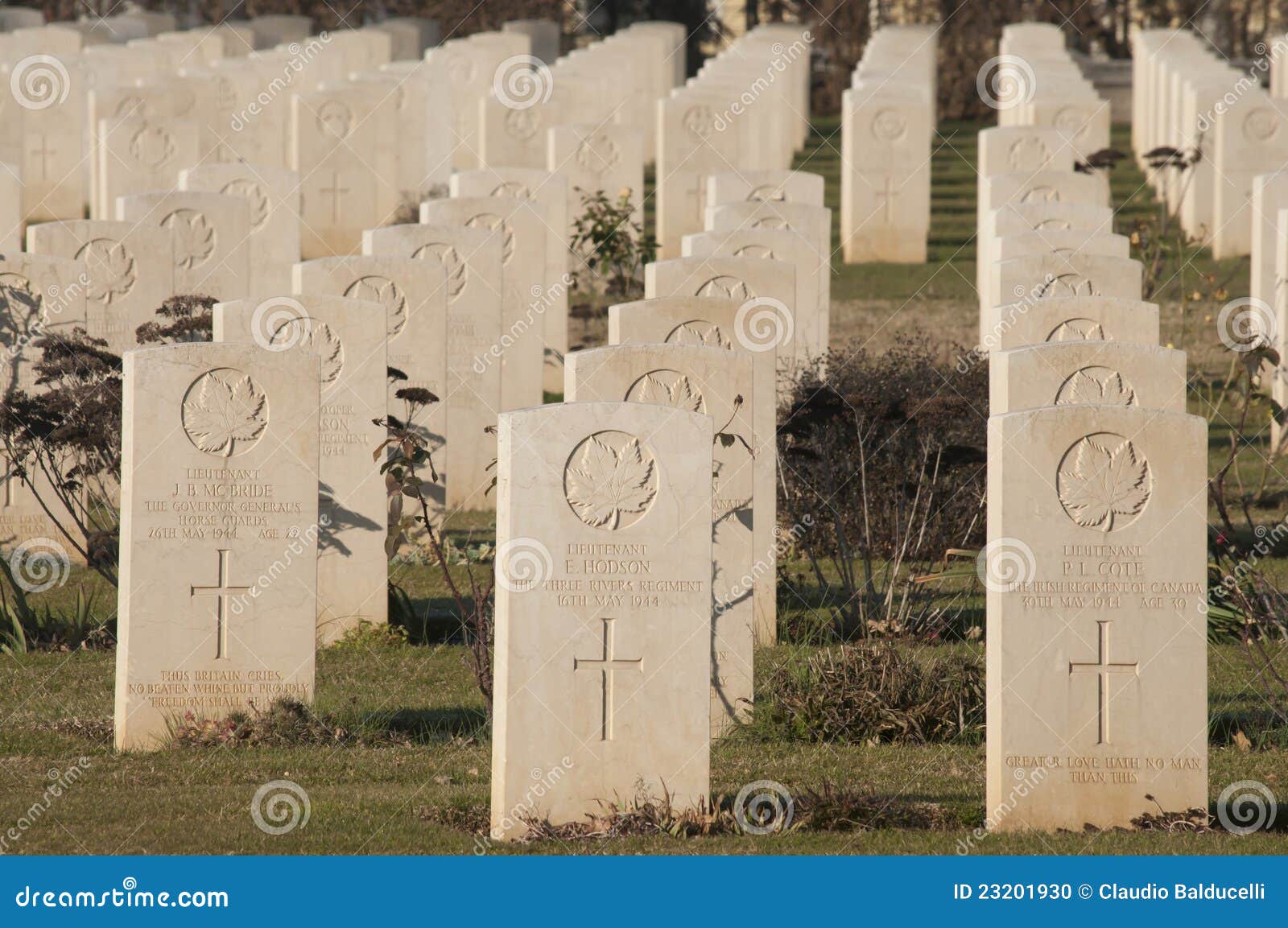 Headstones in Cassino War Cemetery Editorial Image - Image of canada ...