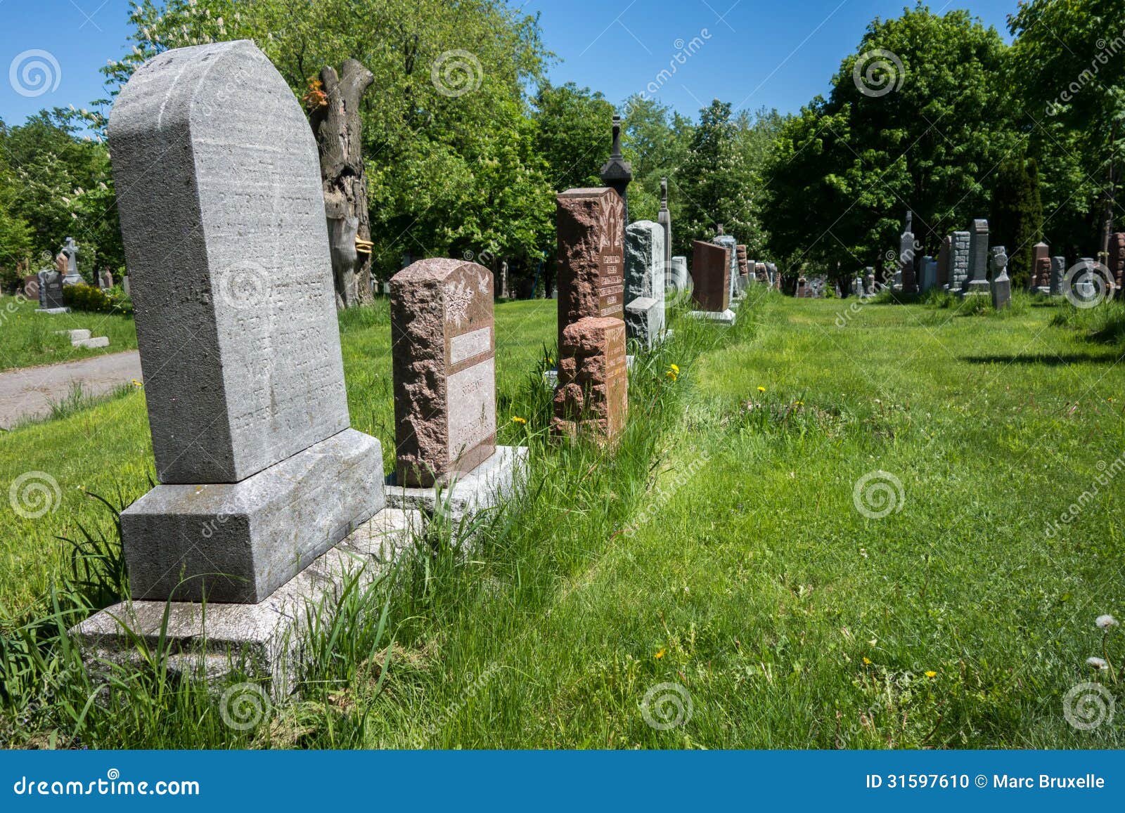 3 headstones in a cemetary stock photo. Image of grass - 31597610