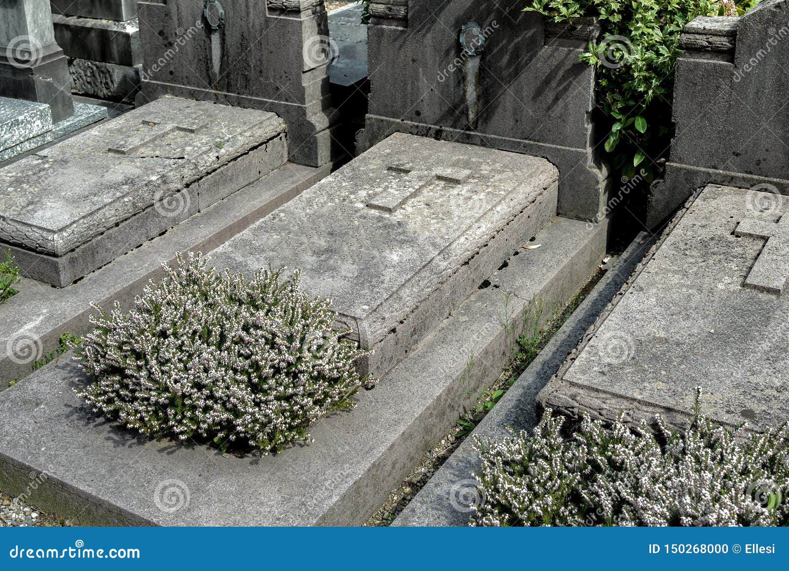The Headstones and Graves of Catholic Cemetery Stock Photo - Image of ...