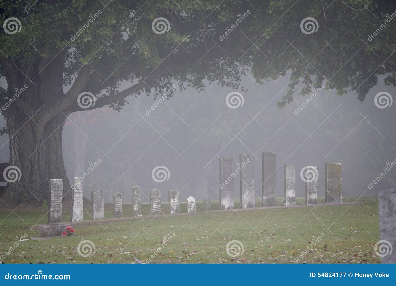 Headstones in the Mist editorial photography. Image of head - 54824177