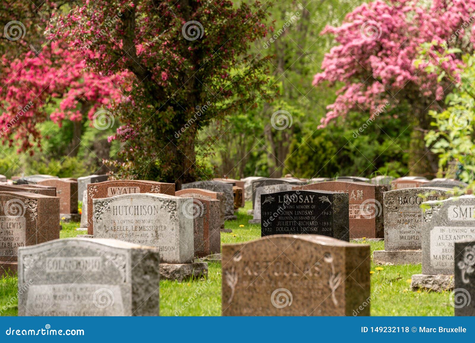Headstones In Montreal Cemetery In The Springtime Editorial Image ...