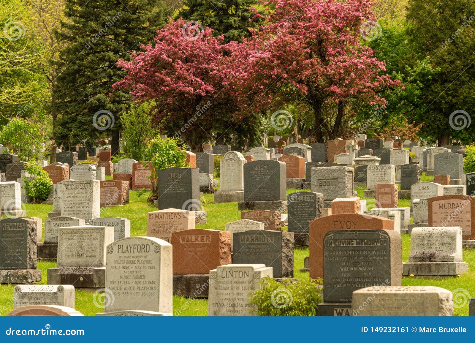 Headstones In Montreal Cemetery In The Springtime Editorial Image ...