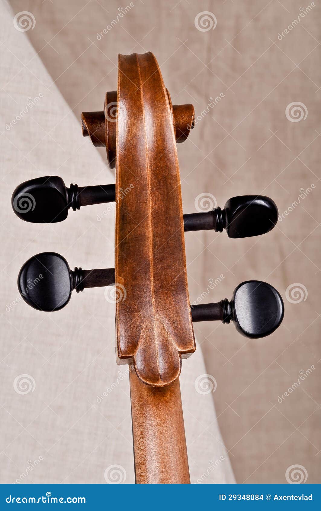 Heah of a violoncello stock photo. Image of studio, performance - 29348084