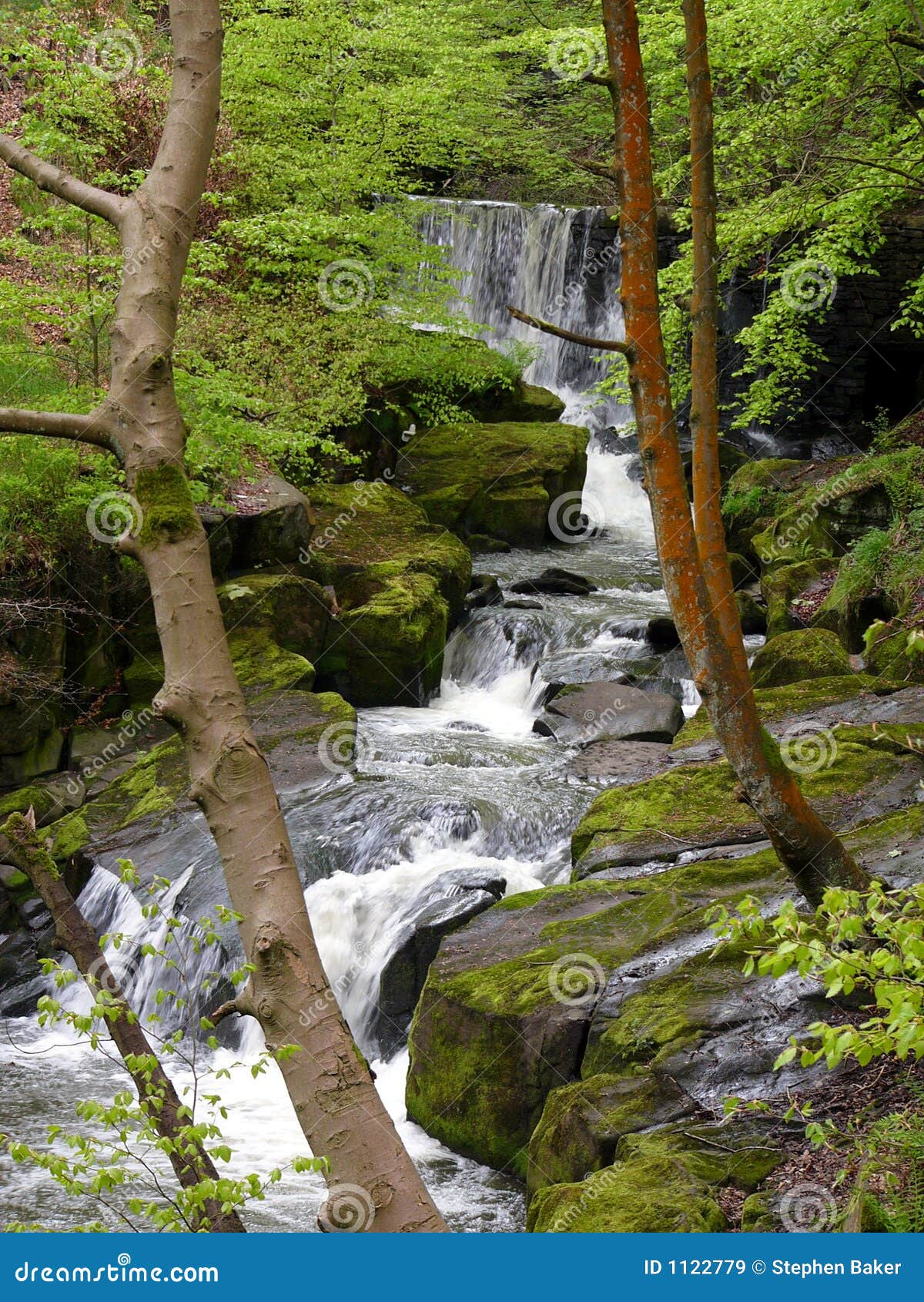 Healey Dell stock image. Image of trees, water, waterfall - 1122779