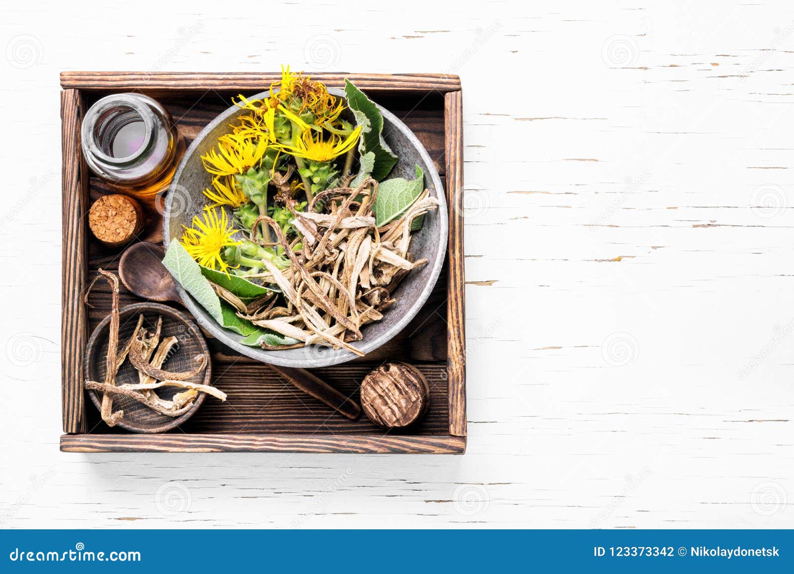 Root and Tincture of Elecampane Stock Photo - Image of medicine ...