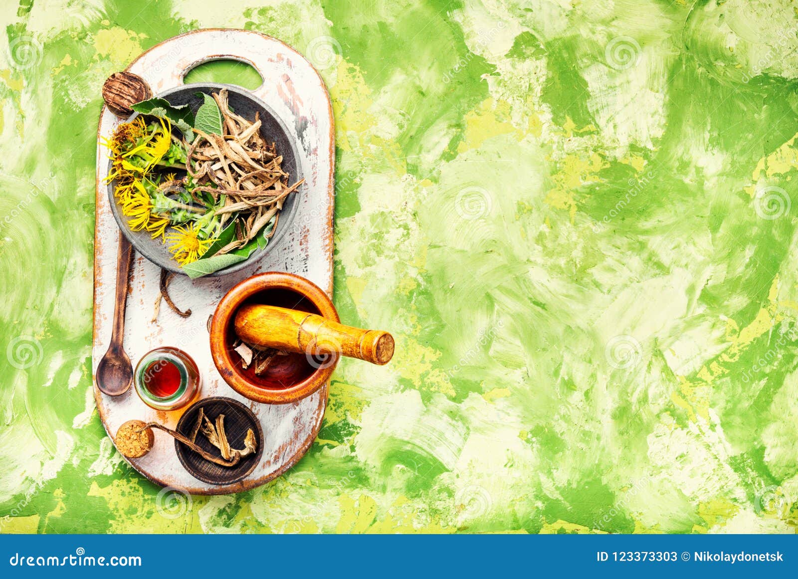 Root and Tincture of Elecampane Stock Image - Image of elecampane ...