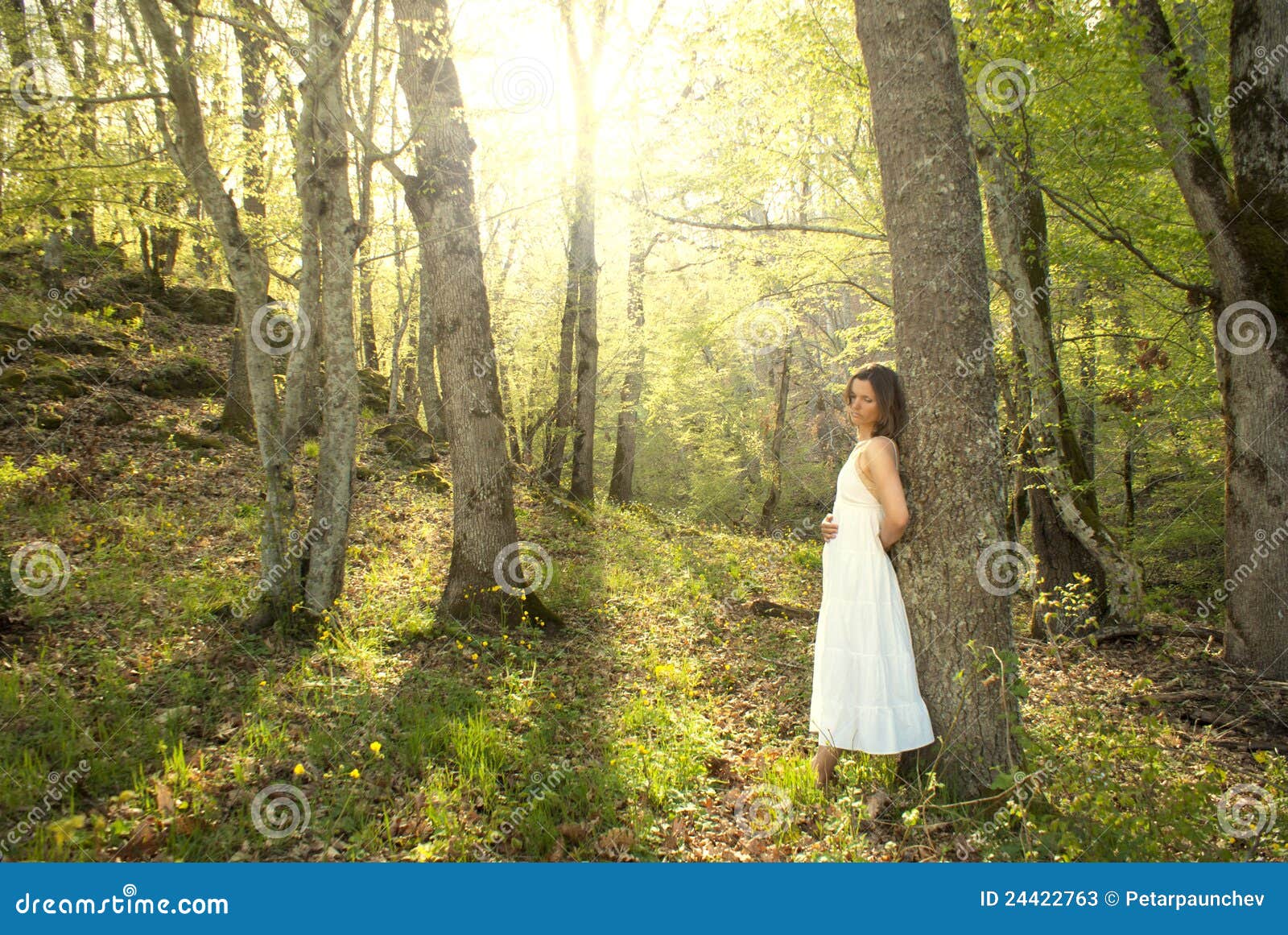 Healing in Nature stock image. Image of leaves, peace - 24422763