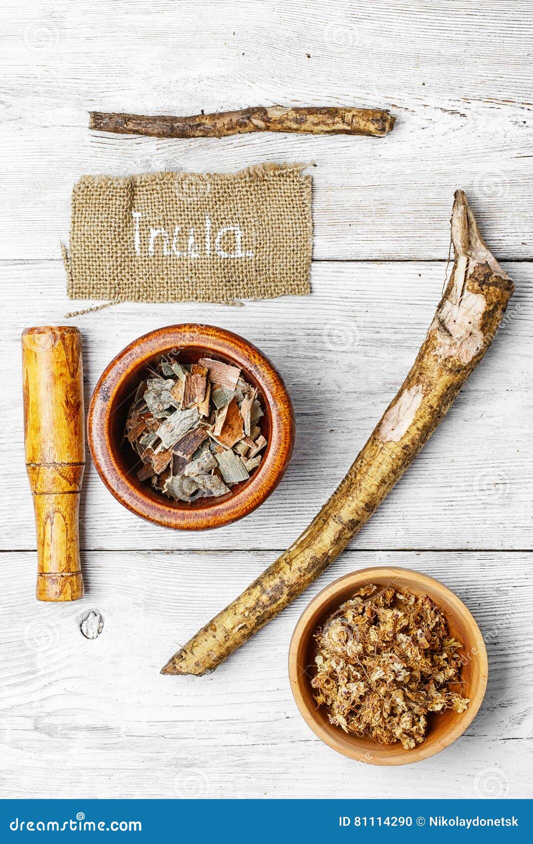 Healing root of elecampane stock photo. Image of season - 81114290