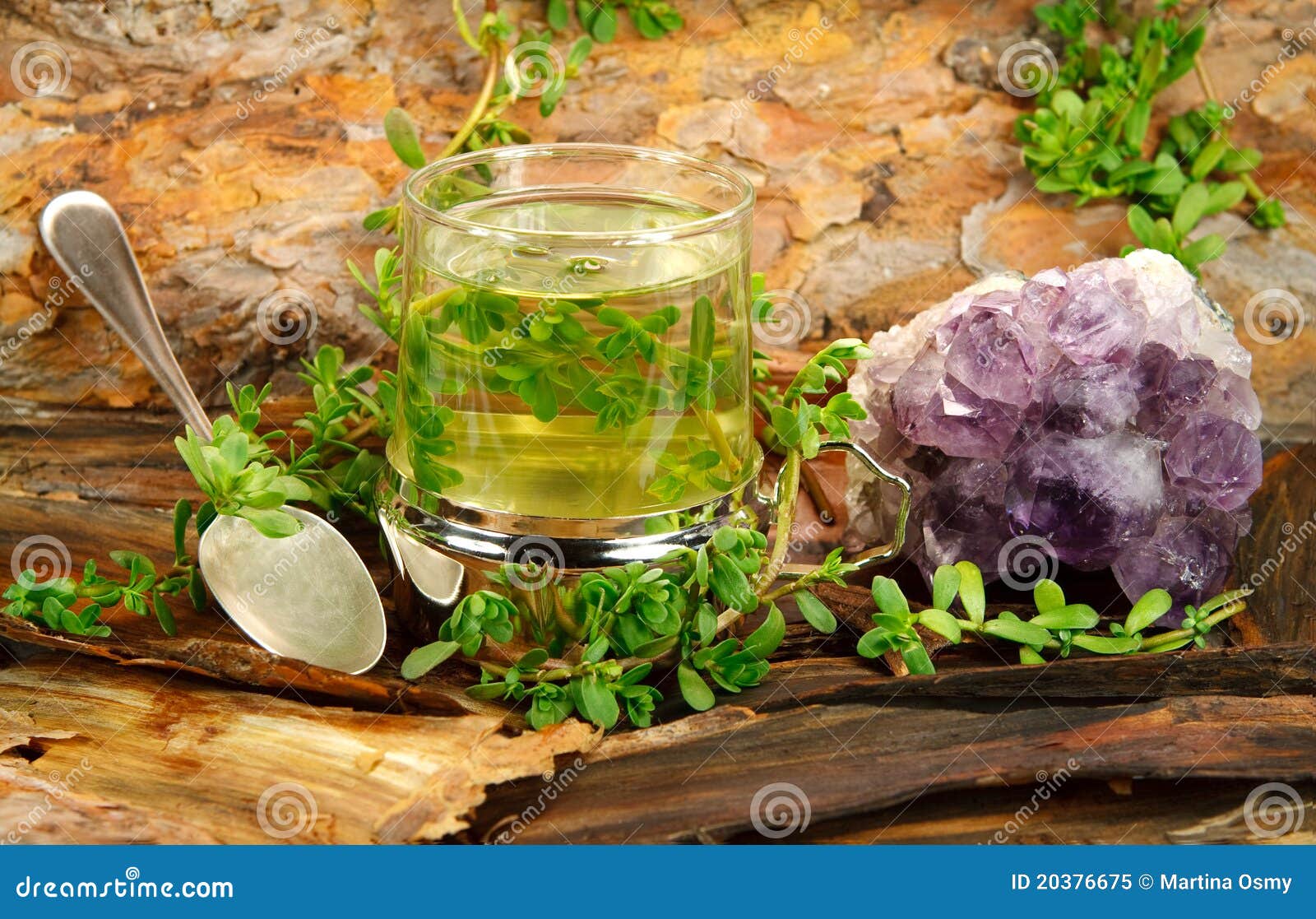 Healing tea from Brahmi stock image. Image of vintage - 20376675