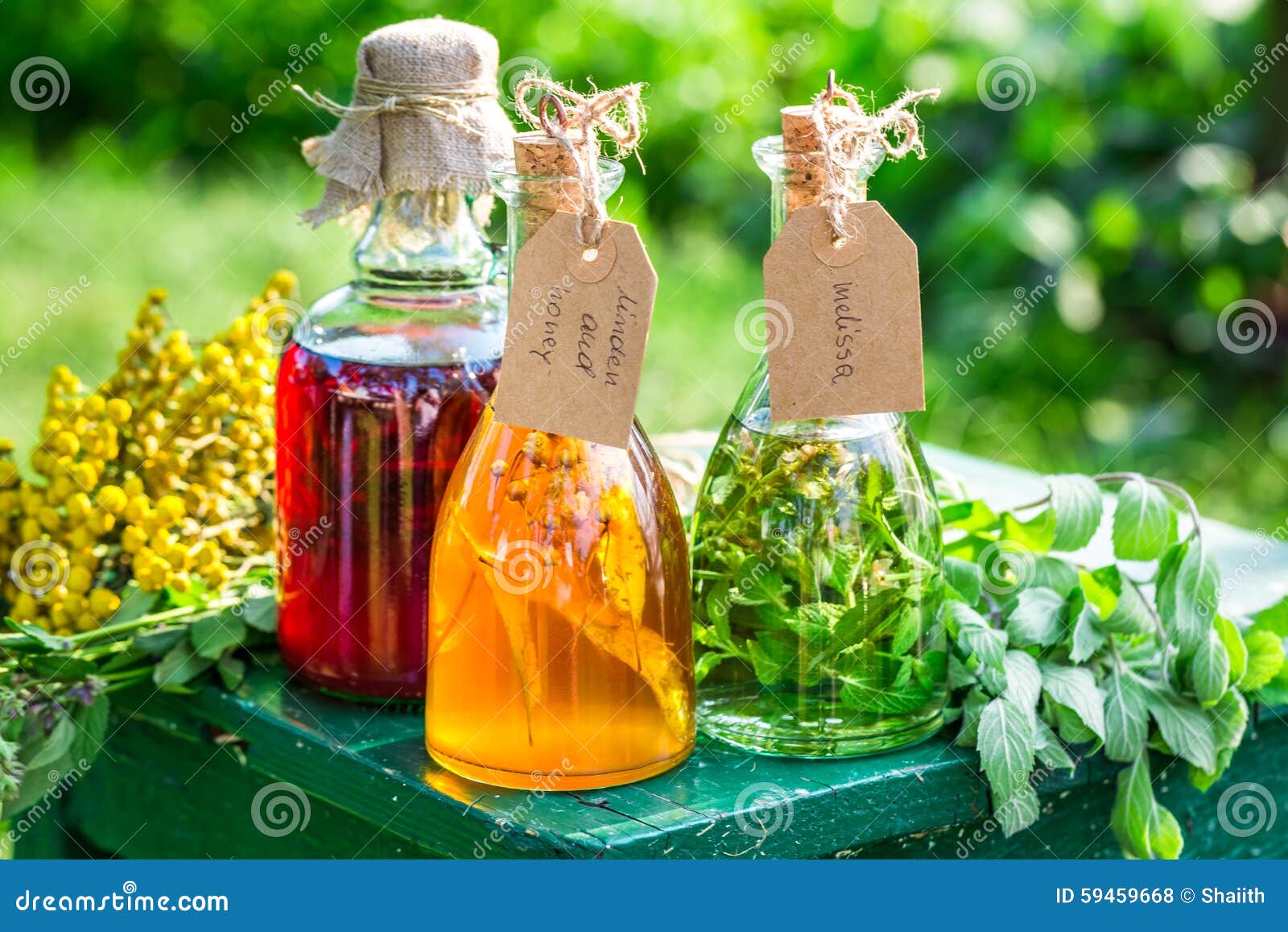 Healing Tincture in Bottles with Herbs and Alcohol Stock Photo - Image ...
