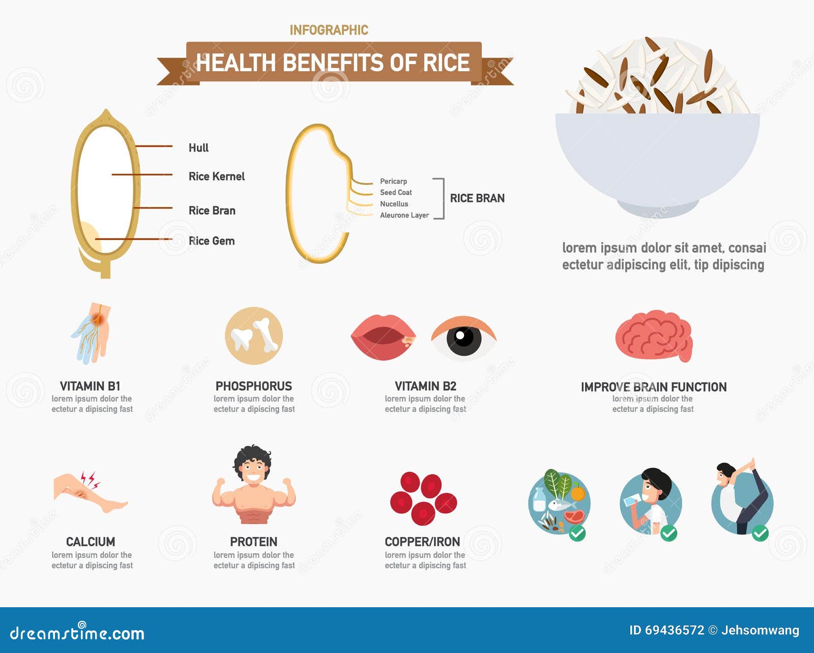 Health Benefits of Rice Infographics.vector Stock Vector - Illustration ...