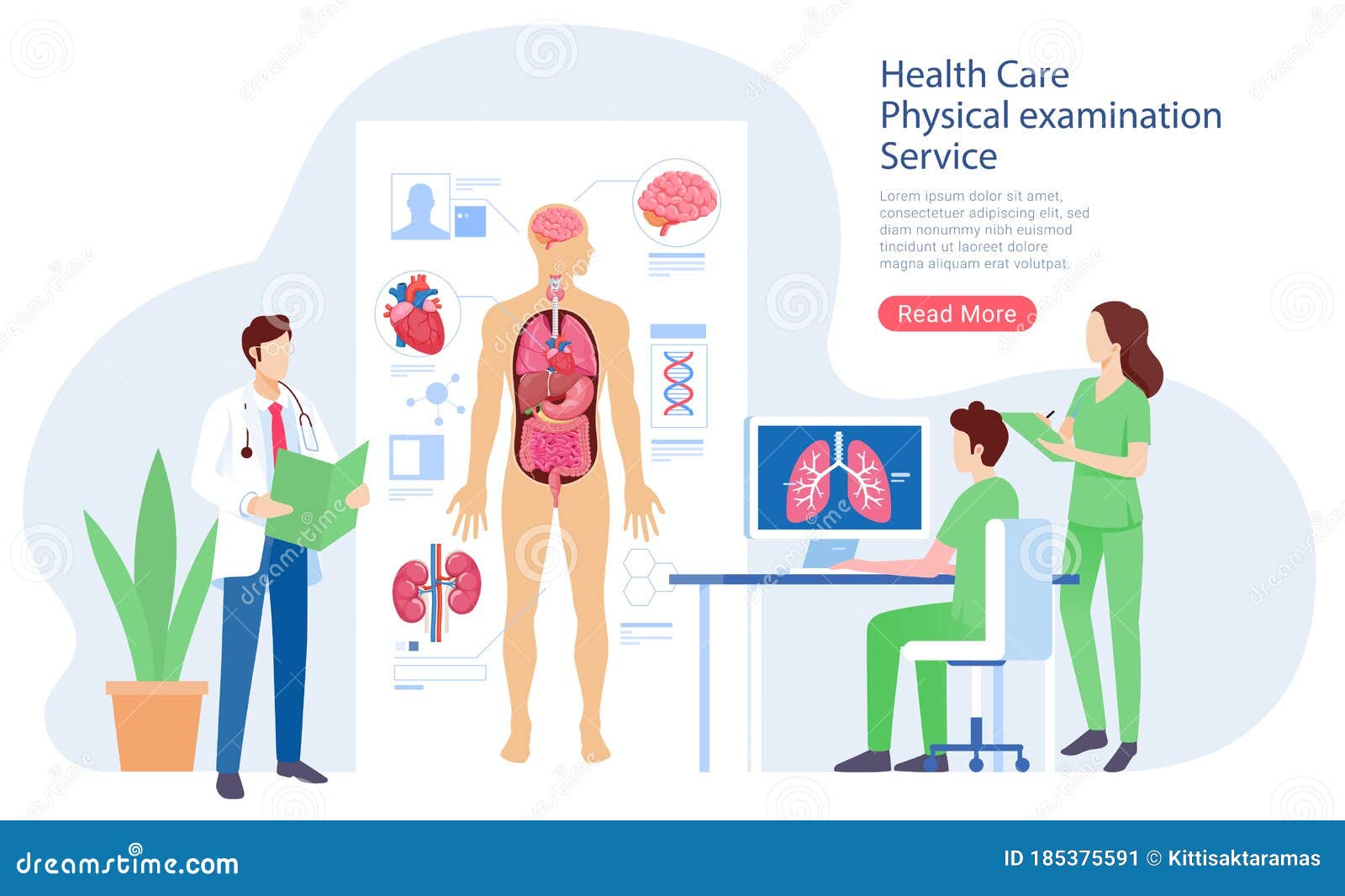 Health Care Physical System Examination Service Vector Illustration ...
