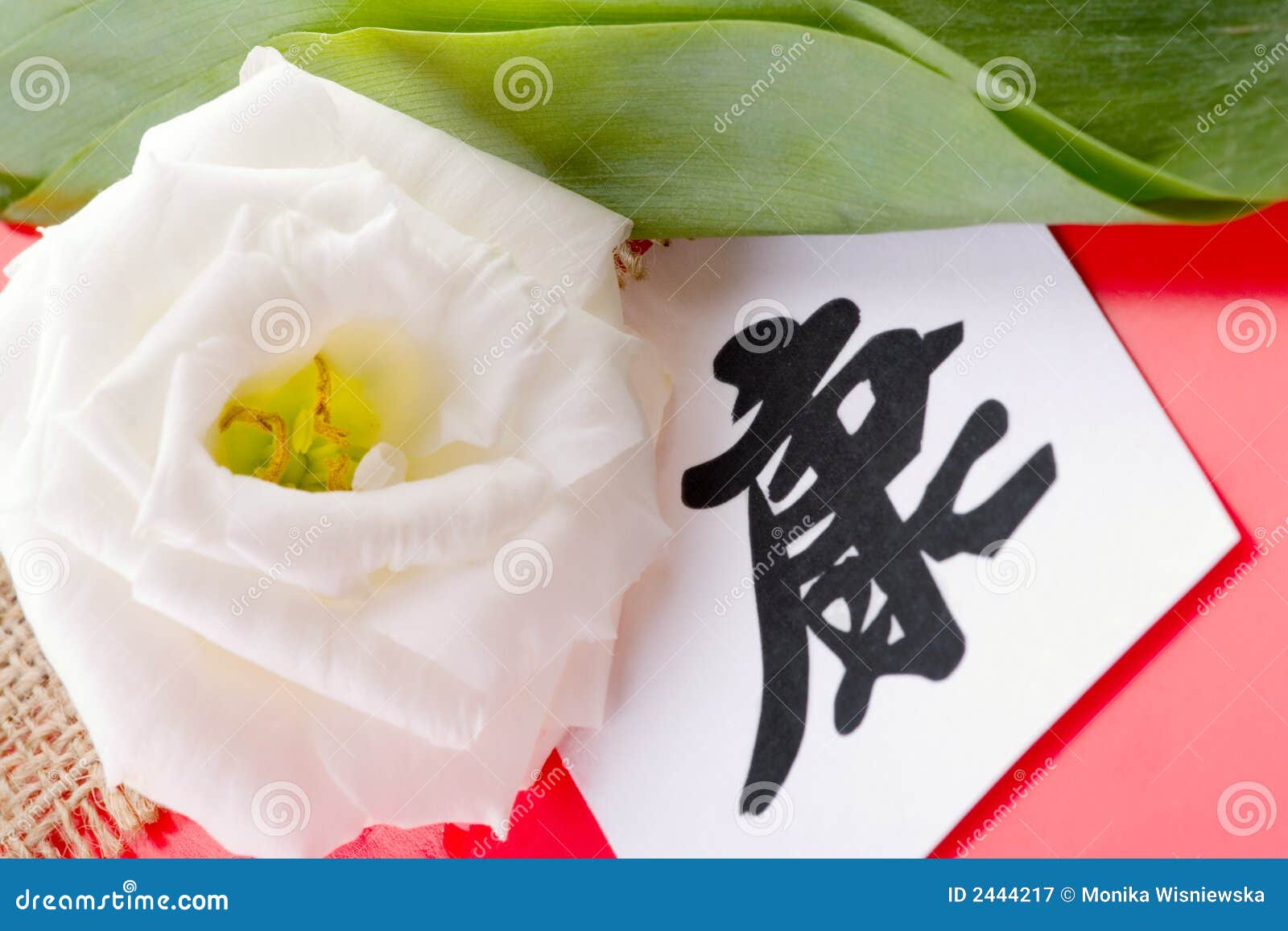 Health Chinese Sign stock image. Image of positive, care - 2444217