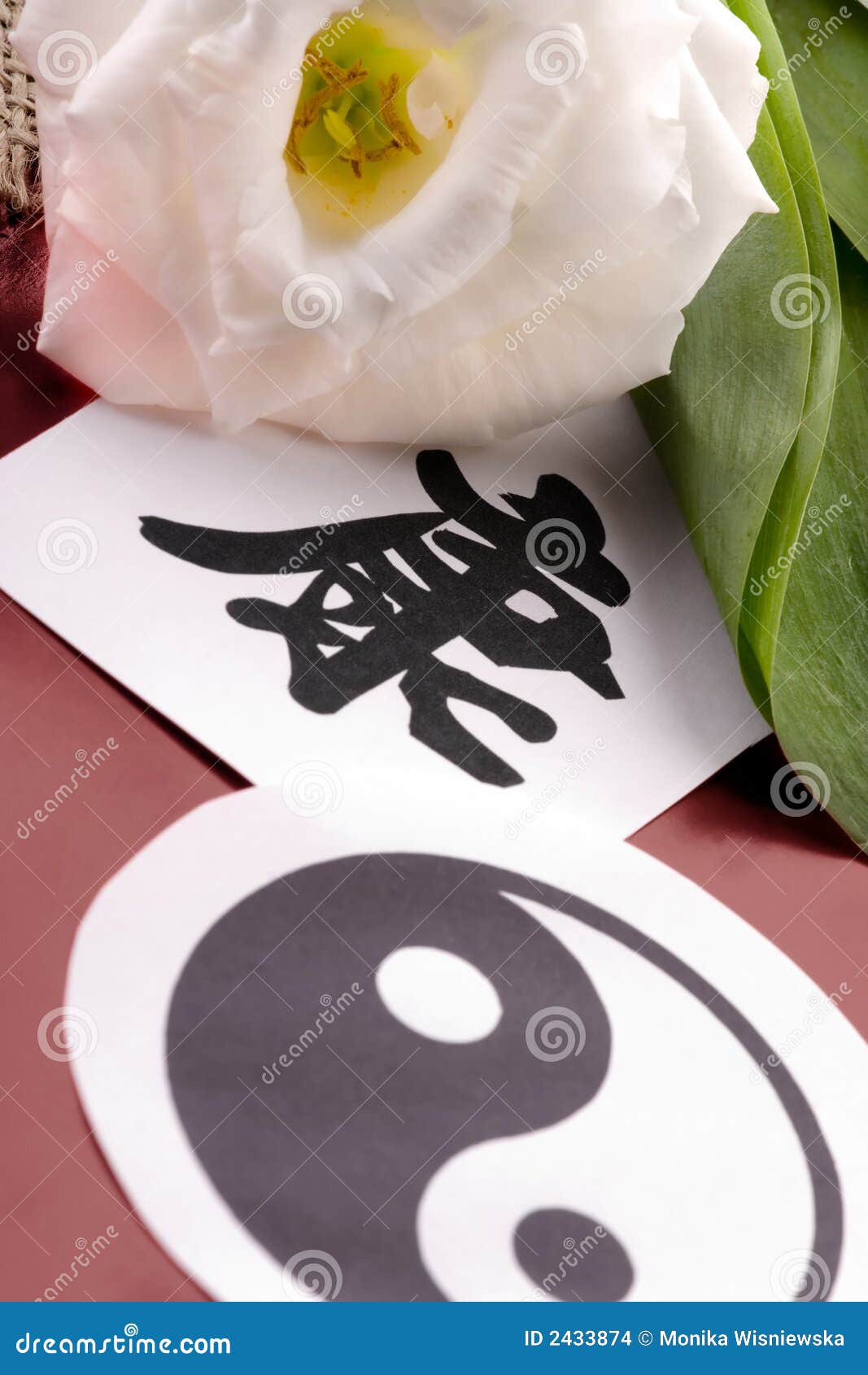 Health Chinese Signs stock photo. Image of green, yang - 2433874