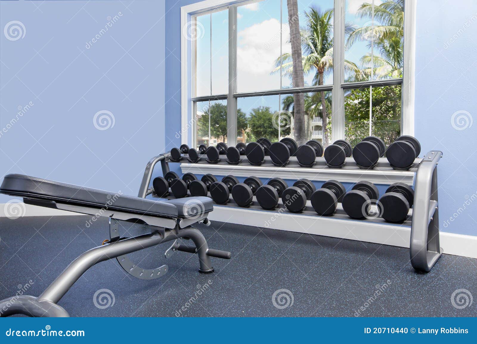 Health Club Weight Training Stock Photo - Image of window, action: 20710440