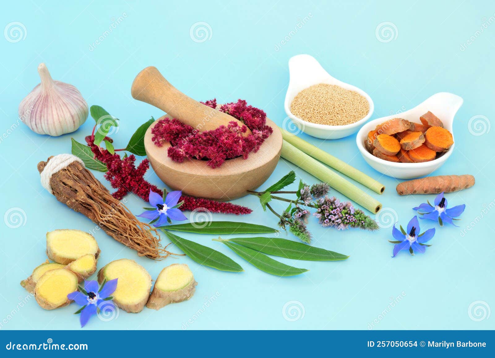 Chi Boost Stock Photos - Free & Royalty-Free Stock Photos from Dreamstime