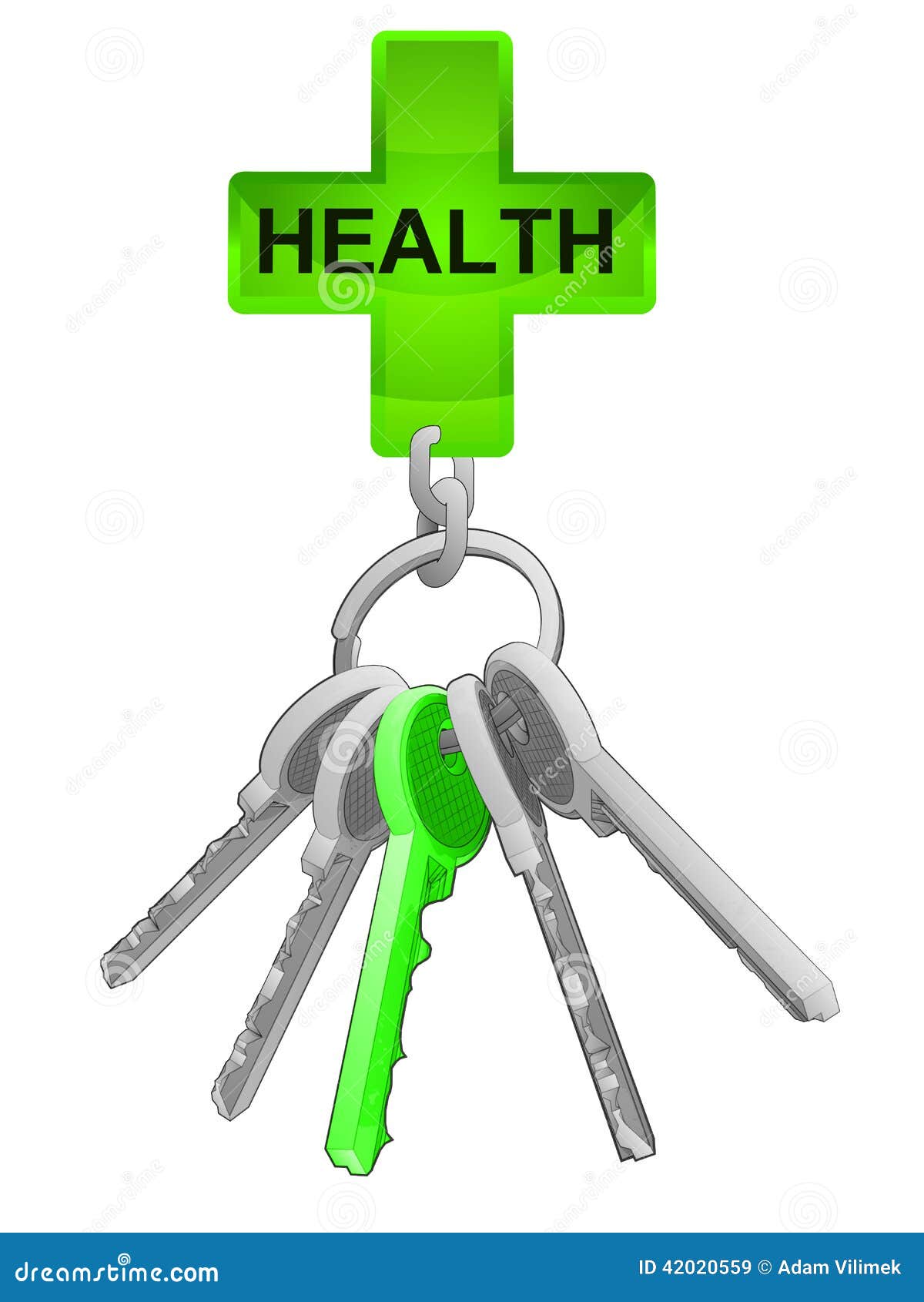 Health Icon on Key Ring with Green One Isolated Vector Stock Vector ...