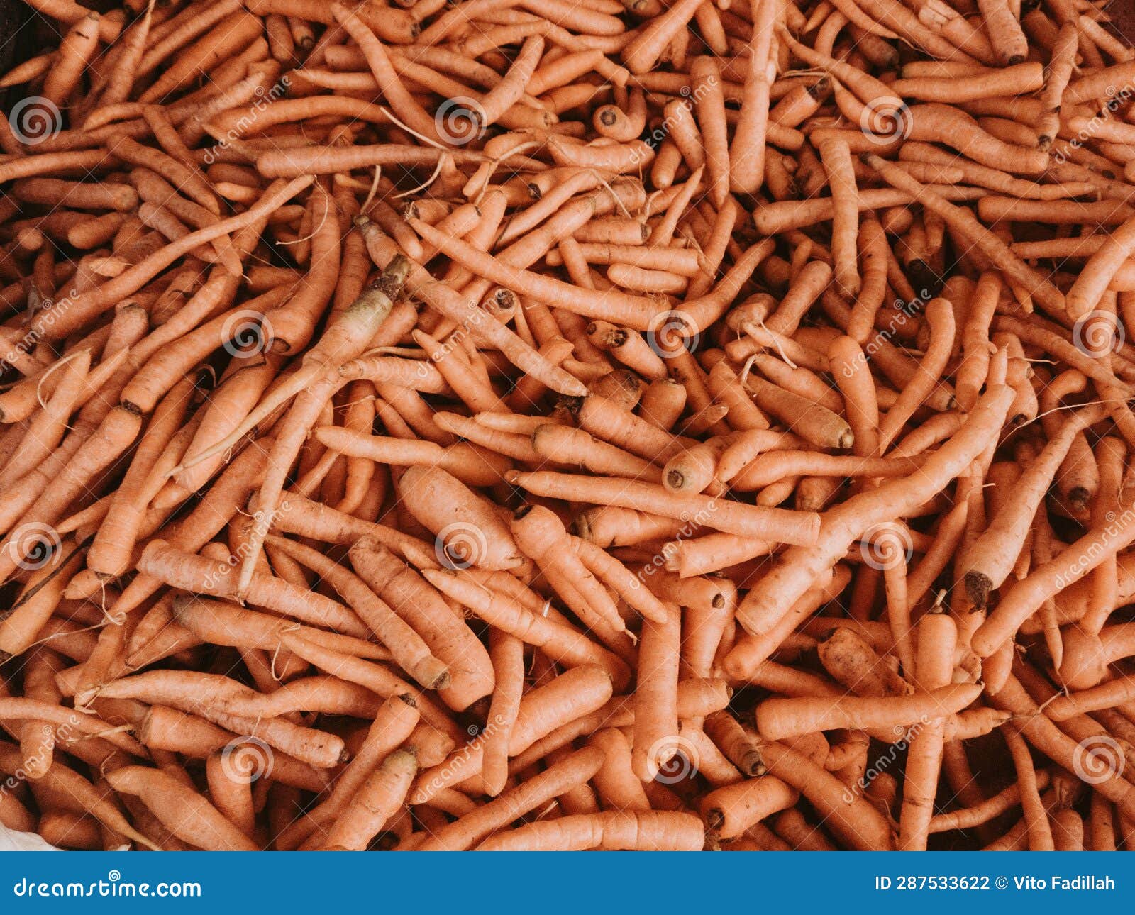 Health Radiates from the Ground: a Fresh Carrot Visual Exploration ...