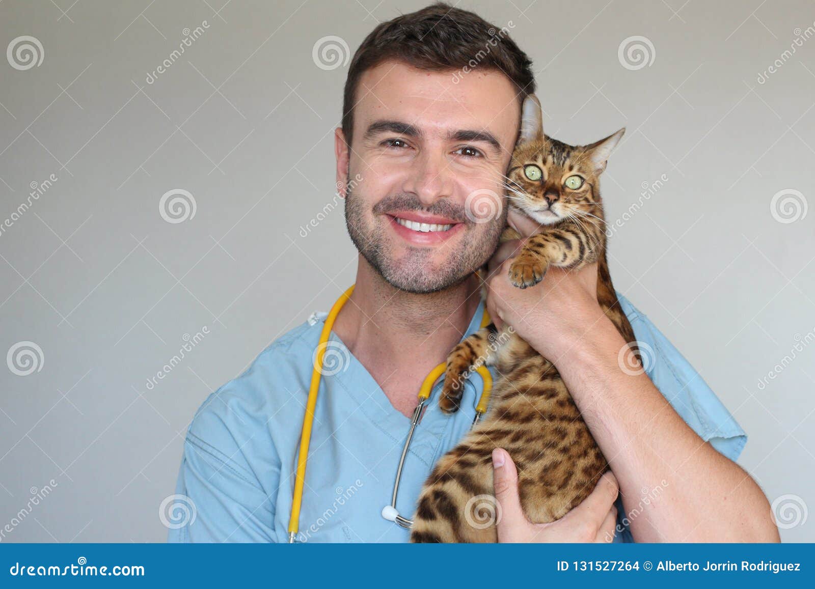 Healthcare Worker Examining Cat with Kindness Stock Photo - Image of ...
