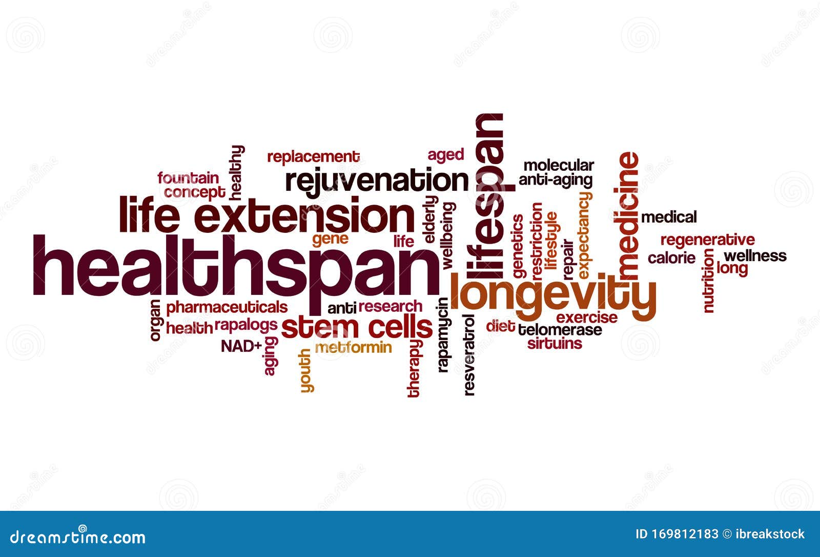 Healthspan Word Cloud. Typography Stock Illustration - Illustration of ...