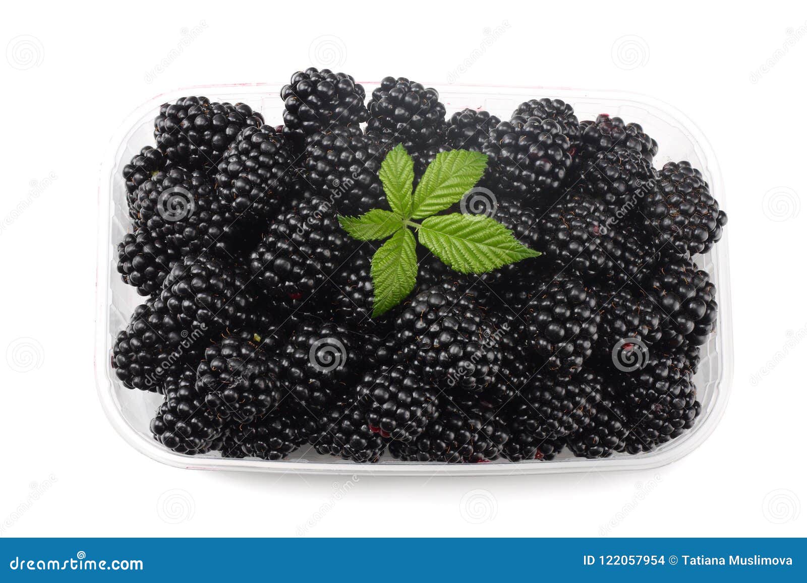 Healthy Background. Blackberries with Leaves Isolated on White ...