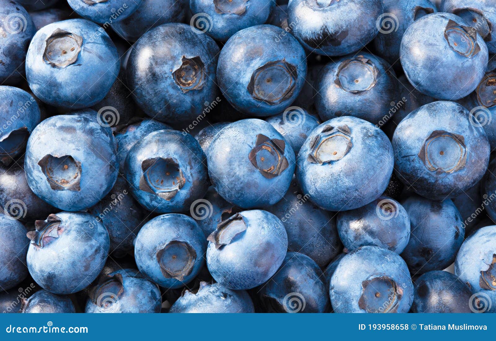 Healthy Background. Blueberry Texture. Blueberries Background Stock ...