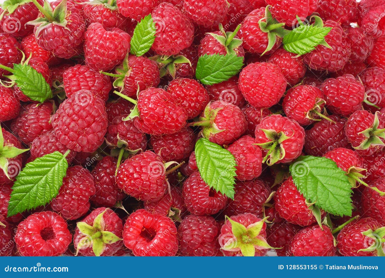 Raspberry Texture Background Royalty-Free Stock Photography ...