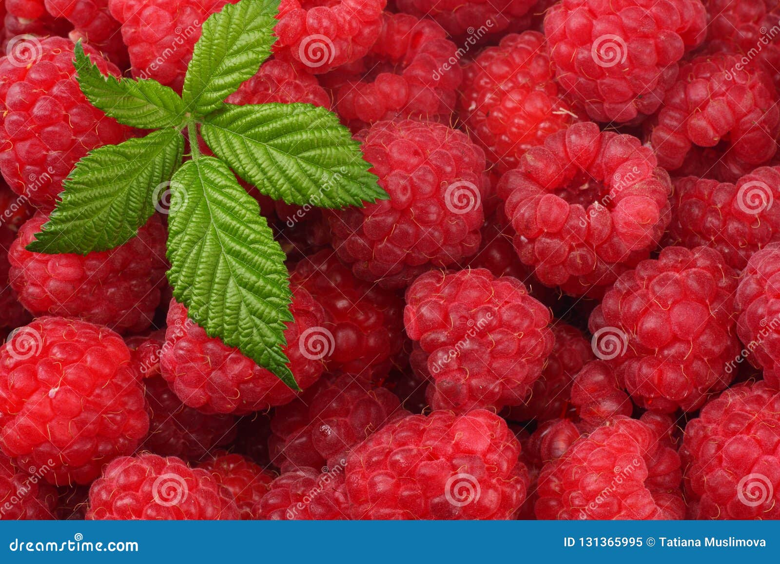 Healthy Background. Raspberry Texture. Raspberries Background. Fruit ...