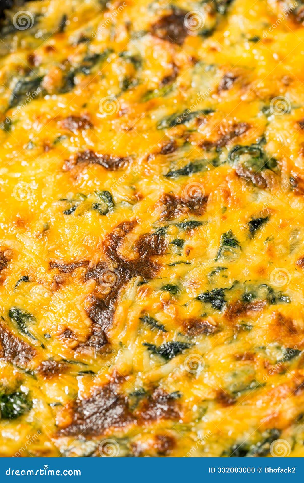 Healthy Baked Spinach Maria Dip Stock Photo - Image of spread ...