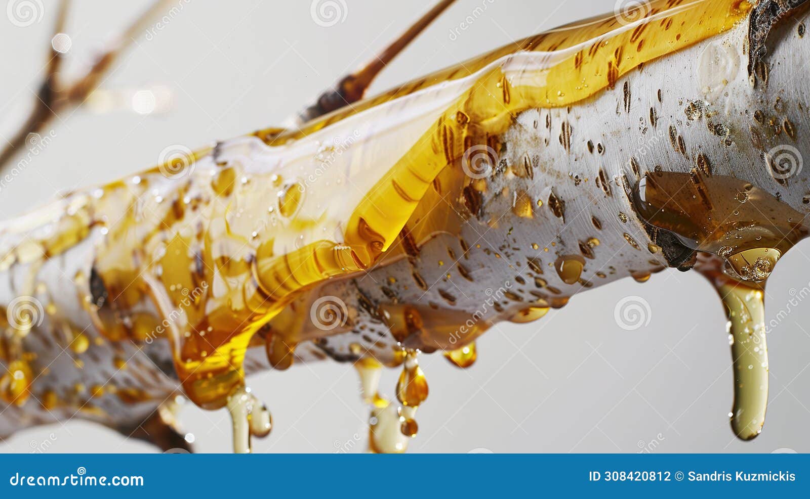 Healthy Birch Sap at the Birch. Generative AI Stock Illustration ...