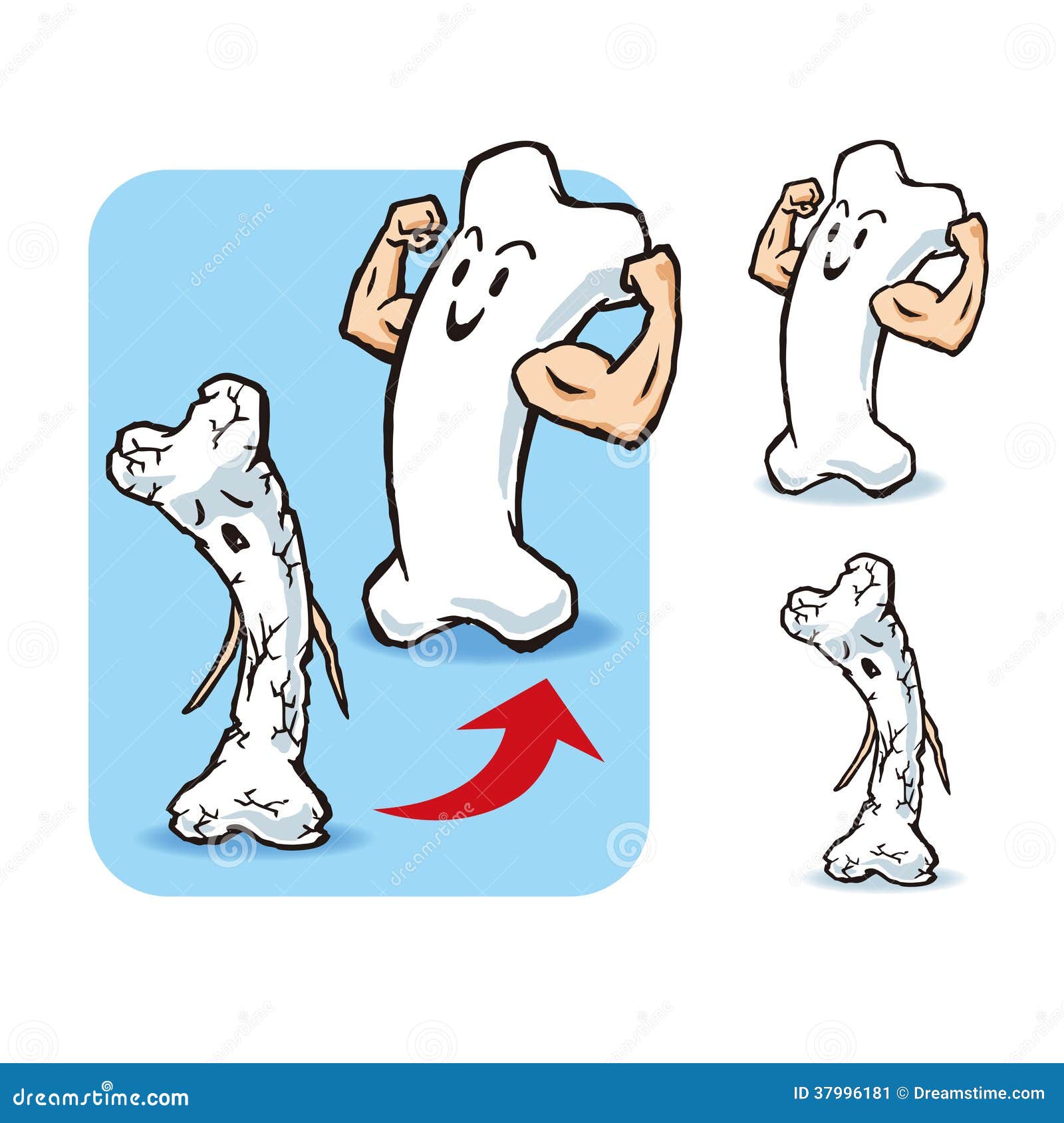 Healthy bone stock illustration. Illustration of body - 37996181
