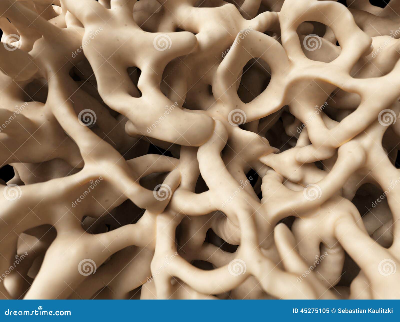 Bone Structure Medical Educational Vector | CartoonDealer.com #61619041 Bone Structure Medical Educational Vector | CartoonDealer.com #61619041