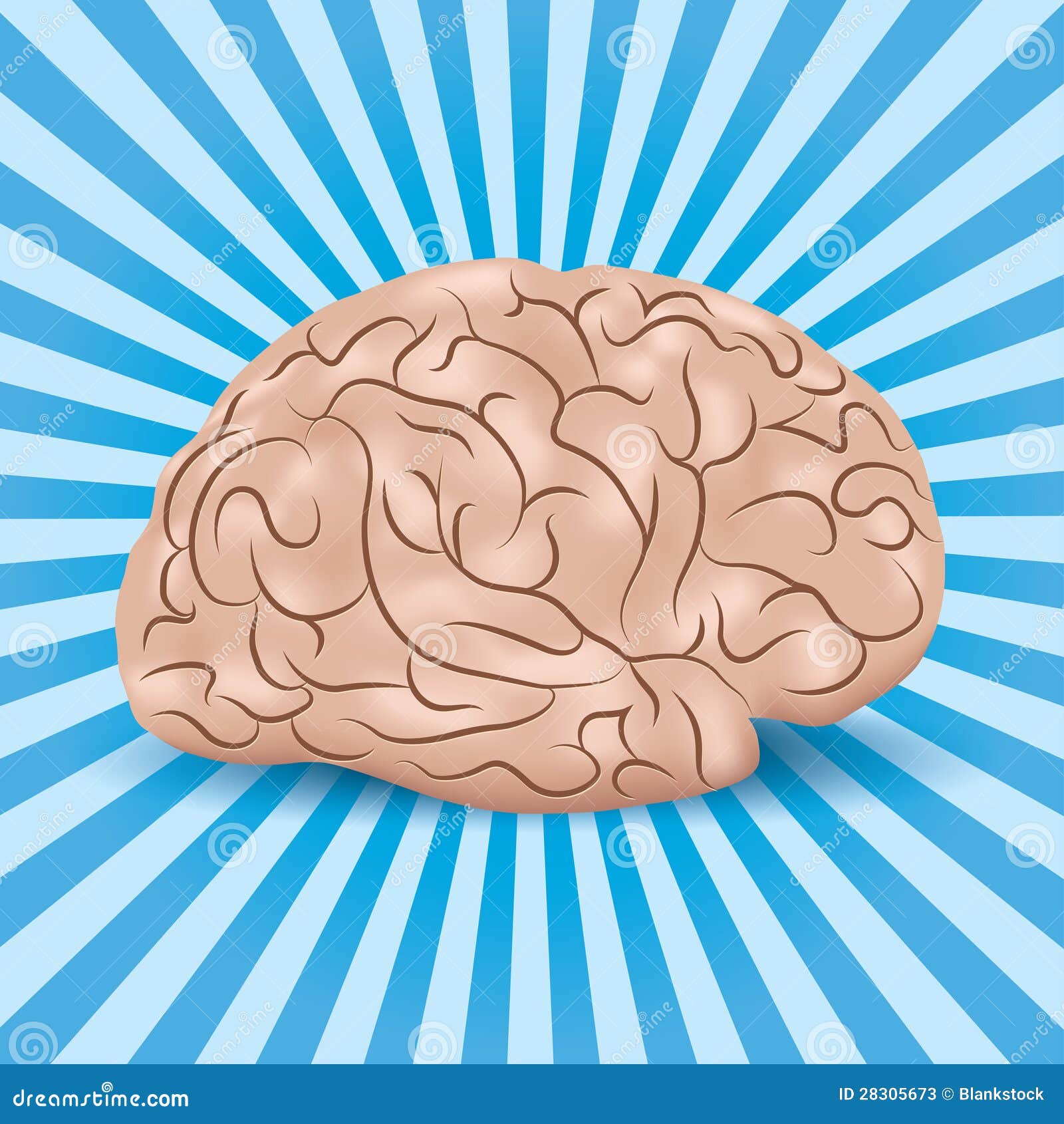 Healthy Brain Concept Illustration. Tree And Leaves In Form Of Brain ...