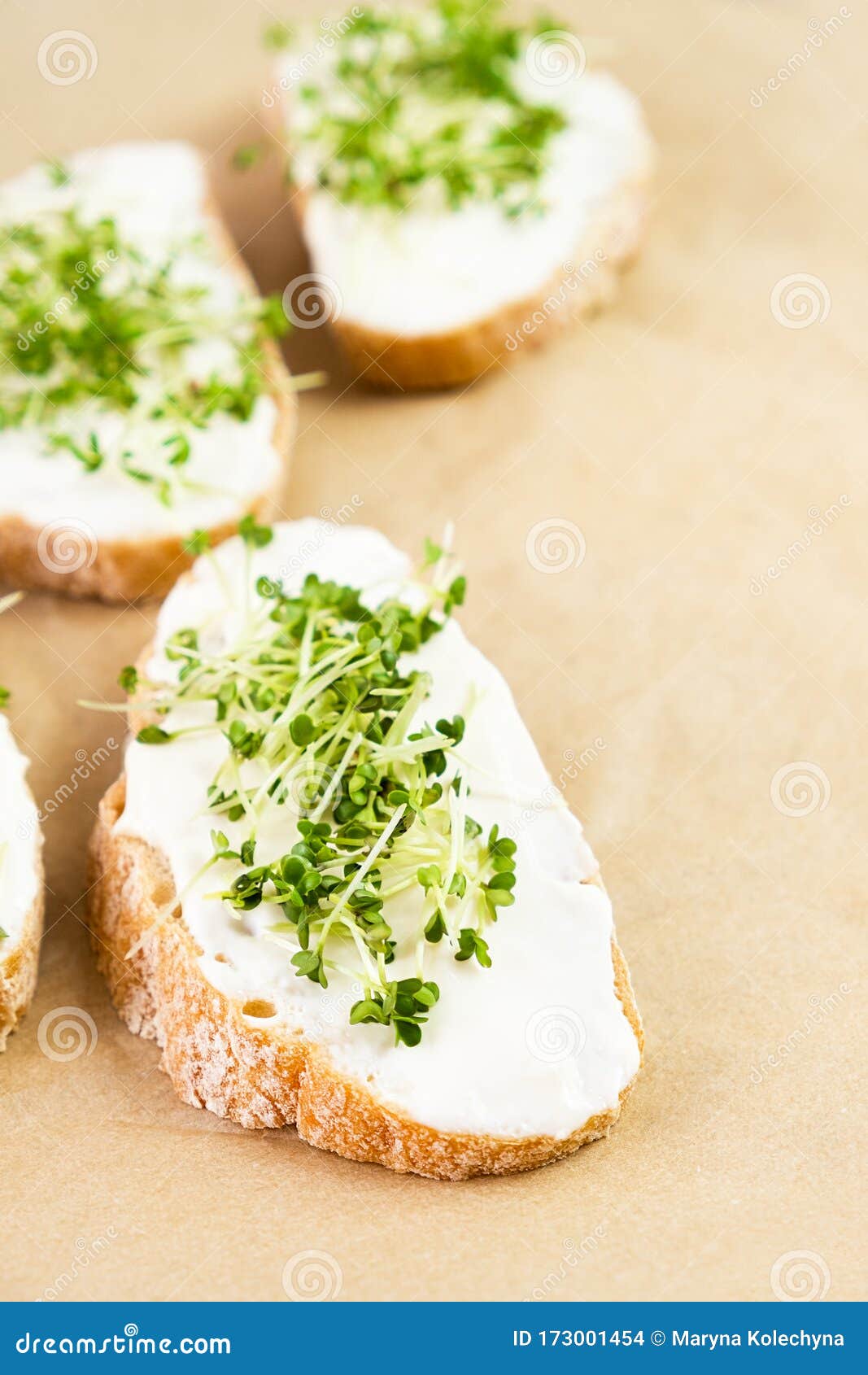 Healthy Breakfast. Sandwich with Cream Cheese and Microgreens Stock ...
