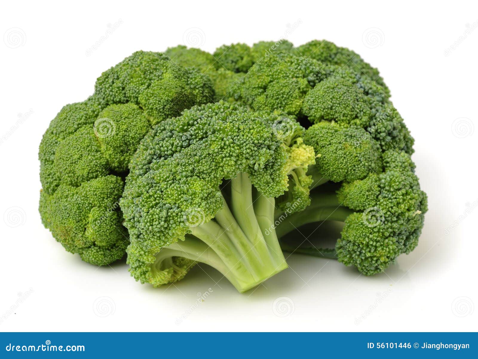 Healthy brocoli stock photo. Image of isolated, dieting - 56101446