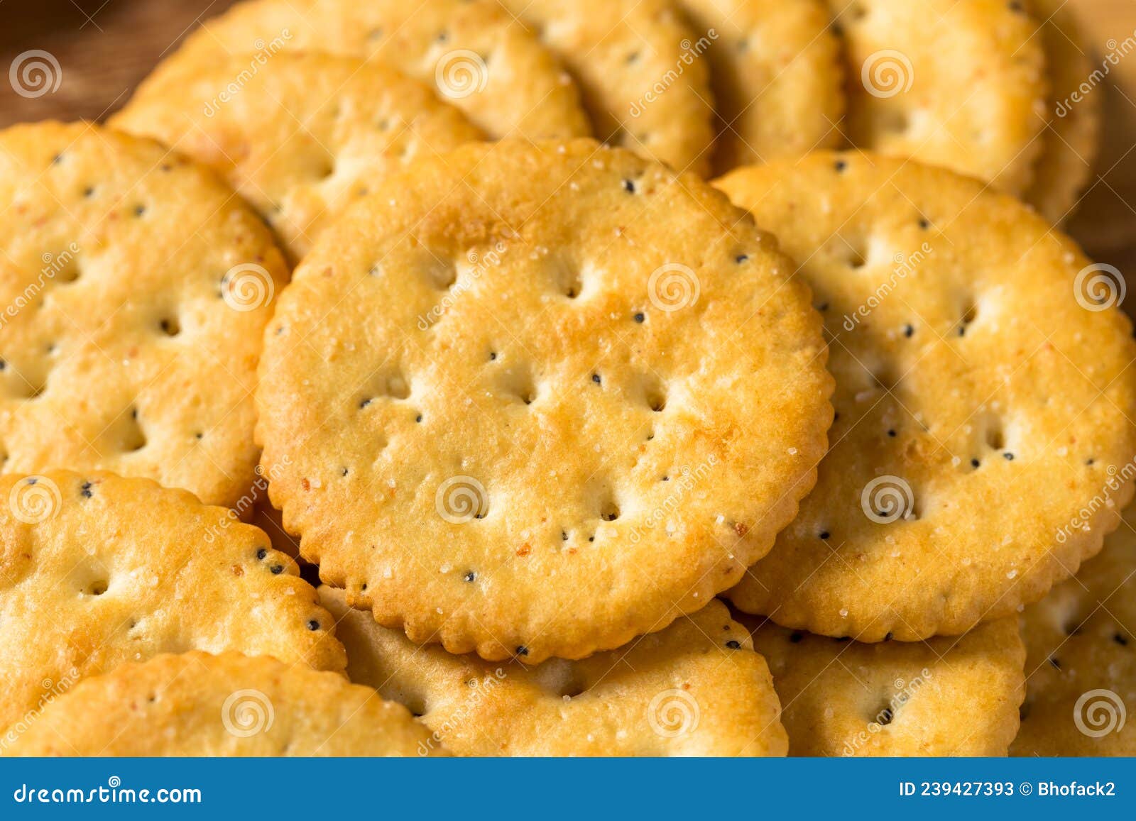 Healthy Brown Round Whole Wheat Crackers Stock Image - Image of salt ...