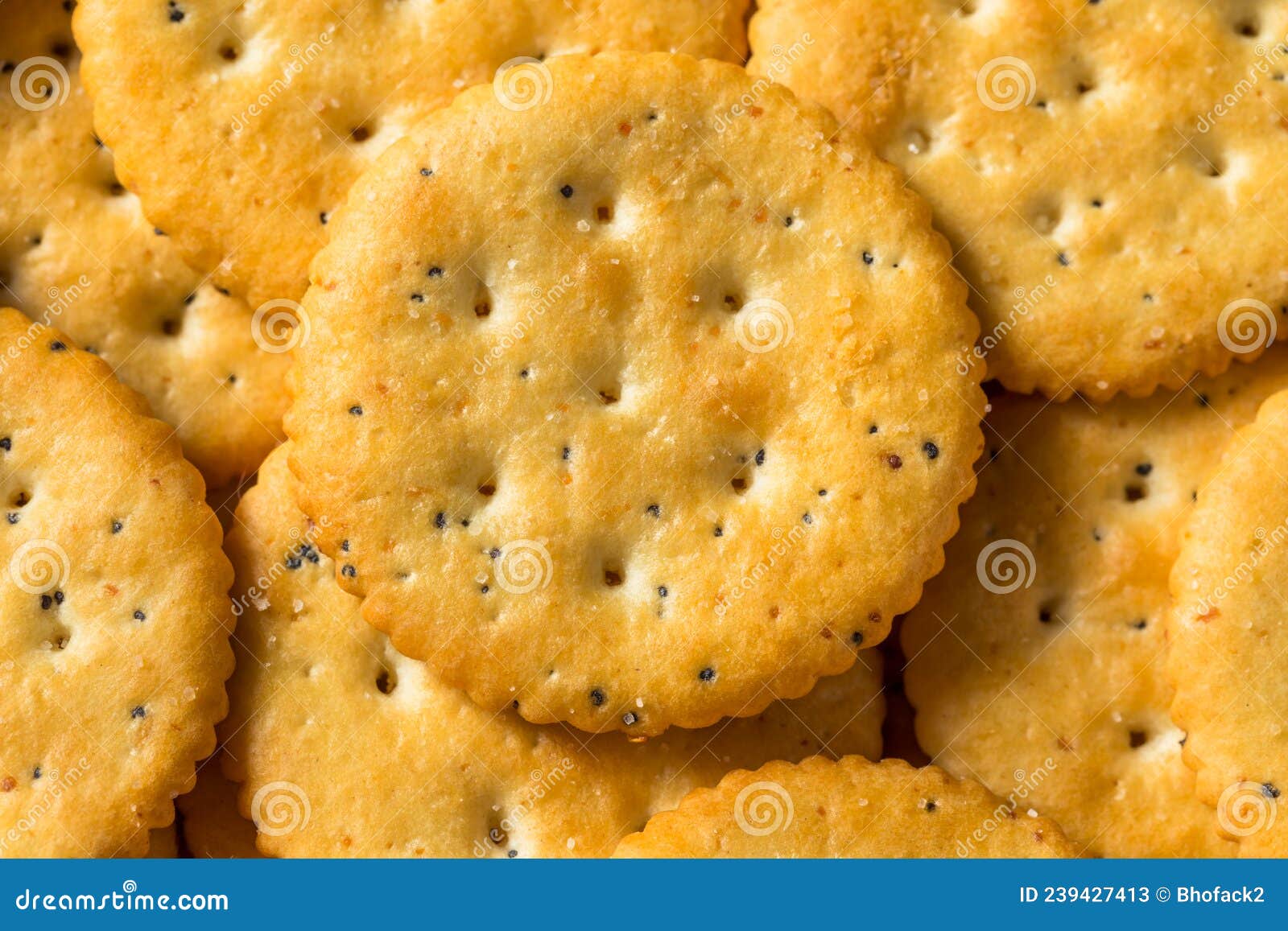 Healthy Brown Round Whole Wheat Crackers Stock Image - Image of golden ...