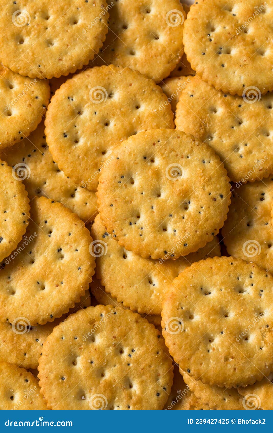 Healthy Brown Round Whole Wheat Crackers Stock Image - Image of eating ...