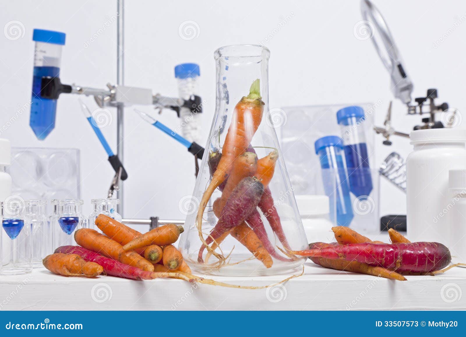 Healthy Carrots stock image. Image of colorful, mental - 33507573