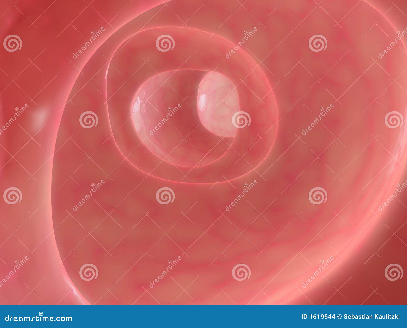 Healthy colon stock illustration. Illustration of bowel - 1619544