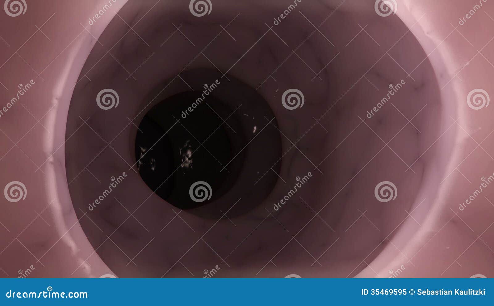 A healthy colon stock video. Video of guts, large, science - 35469595