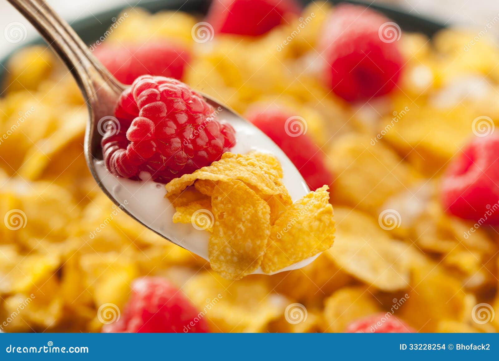 Healthy Cornflake Cereal stock photo. Image of nutrition - 33228254