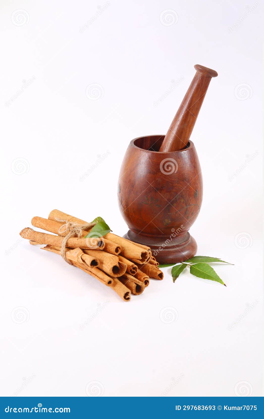 Dalchini or Cinnamon Sticks, Indian Spice Stock Image - Image of cassia ...