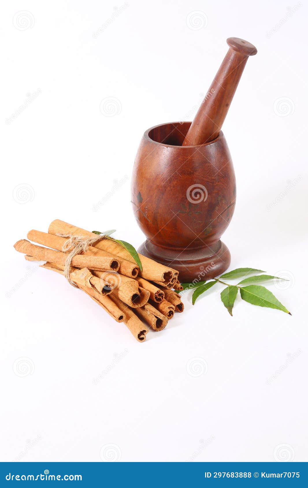 Dalchini or Cinnamon Sticks, Indian Spice Stock Photo - Image of ...