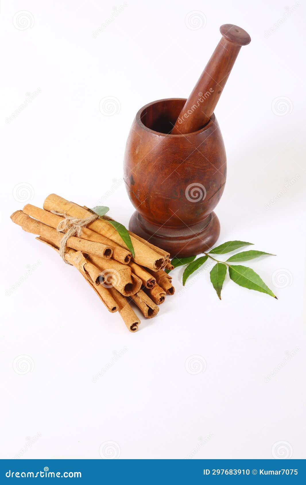 Dalchini or Cinnamon Sticks, Indian Spice Stock Photo - Image of wood ...