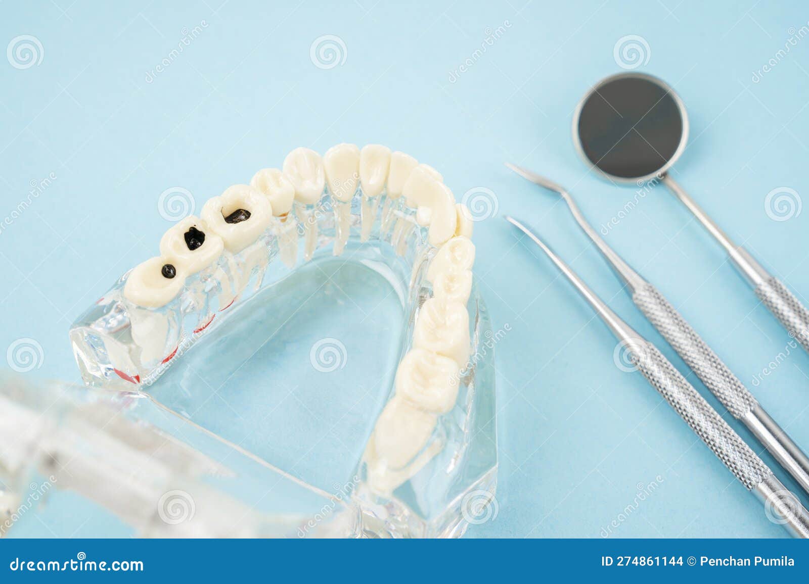 The Healthy and Decayed Teeth Model and Mouth Mirror, Dental Concepts ...
