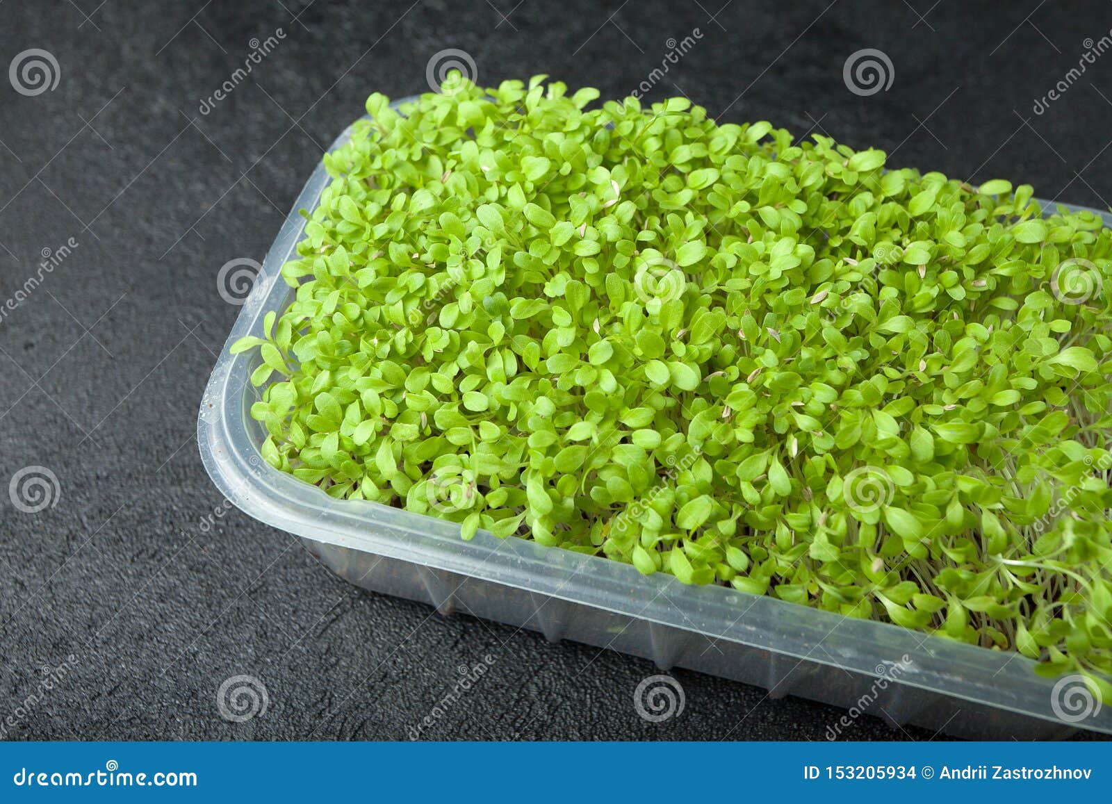 Healthy Diet. Fresh Vegetable Sprouts in a Packaging Container Stock ...