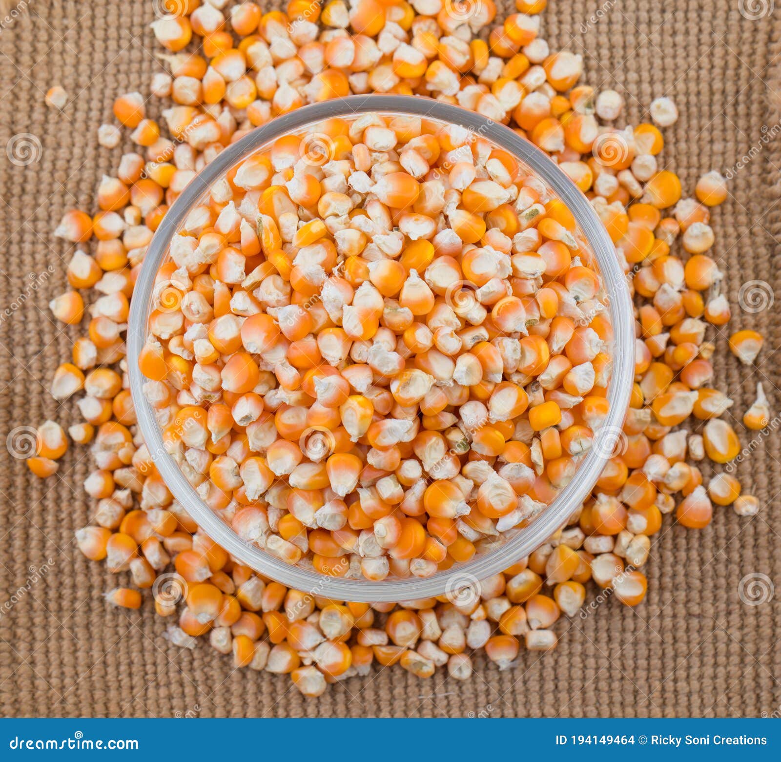 Healthy Dried Corn Seeds Also Know As Makki Stock Photo - Image of ...